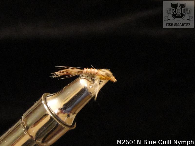 Blue Quill Nymph Trout Pro Store